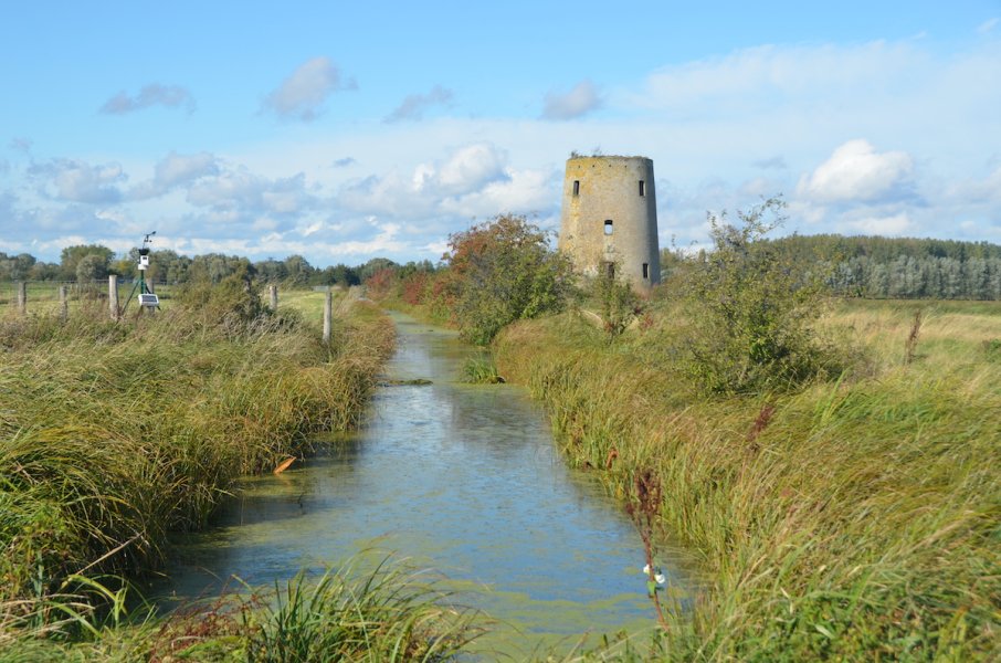 Le patrimoine naturel et culturel du marais Audomarois | Parc Opale