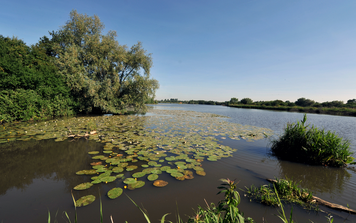 Le label RAMSAR | Parc Opale